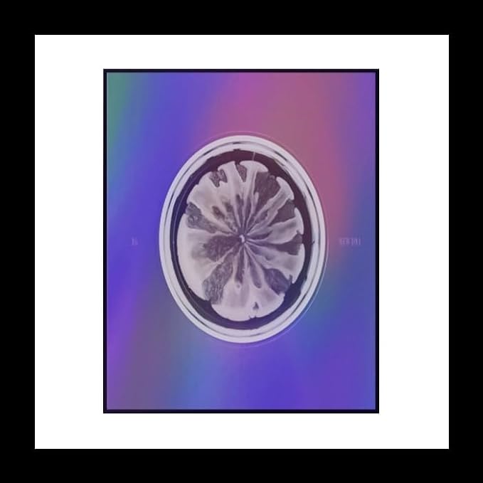 Amazon.com: XG New DNA 1st Mini Album X Version CD+78p PhotoBook+2ea ...