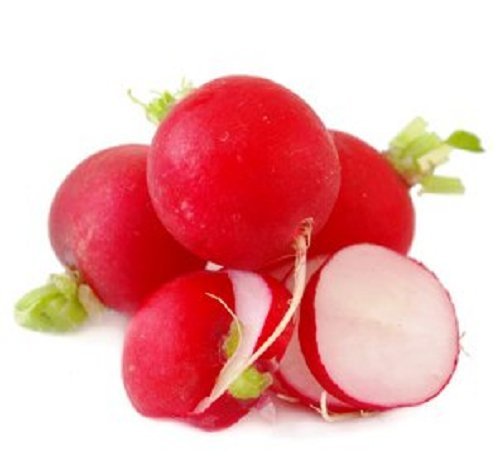 Amazon.com: Radish Bulbs (No tops), 6 oz : Grocery & Gourmet Food