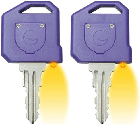 Amazon.com: 1 Pair (2 Keys) Global Link LED Precut Keys G301 - G391 ...