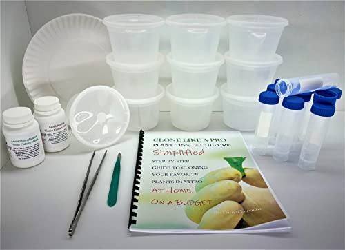 Top 10 Plant Tissue Culture Kit of 2022 - Katynel