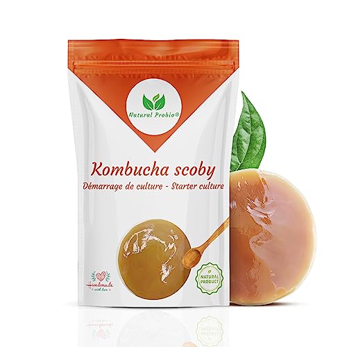 Comment faire du kombucha maison