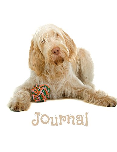 Journal: Spinone: Publications, Dreamflight: 9781973455790: Amazon.com ...