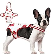 Amazon.com : Dog Diaper Suspenders Reusable Dog Period Panties ...