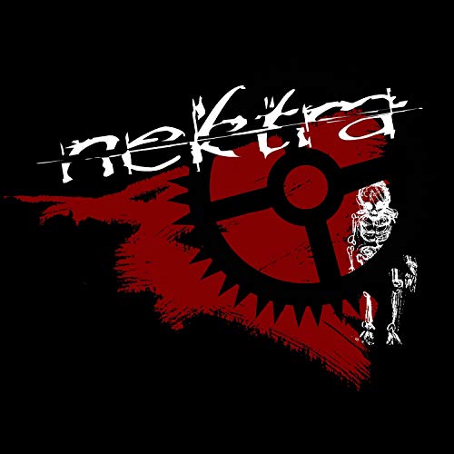 Amazon.com: Packetize(d) : Nektra: Digital Music