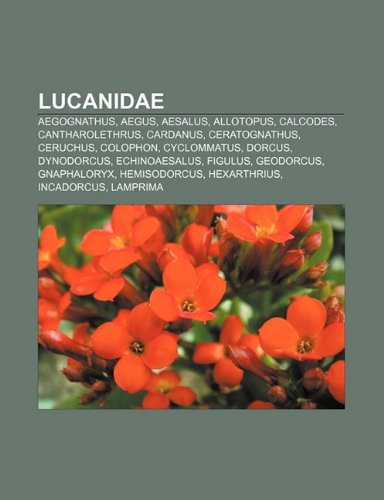 Amazon.co.jp: Lucanidae: Aegognathus, Aegus, Aesalus, Allotopus ...