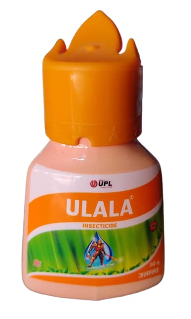 Ulala 30g. : Amazon.in: Grocery & Gourmet Foods