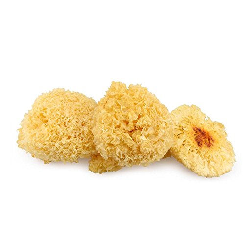Amazon.com : Medicinal fungus white fungus Tremella 500g of silver ear ...