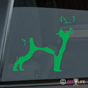 Amazon.com: Mister Petlife Rat Terrier Sticker Vinyl Auto Window rattie ...