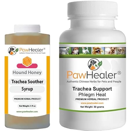 Amazon.com : Trachea Soother Syrup Bundle with Trachea Support: Phlegm ...
