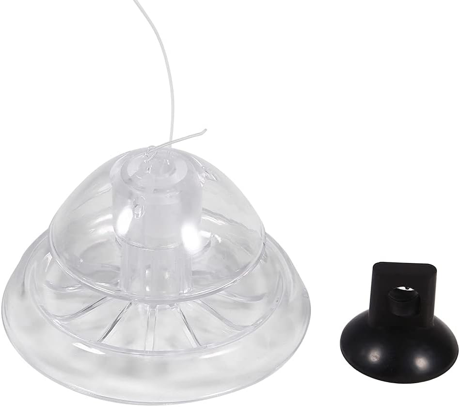 Amazon.com: Snail Catcher, Transparent Snail Trap Aquarium Snail Trap ...