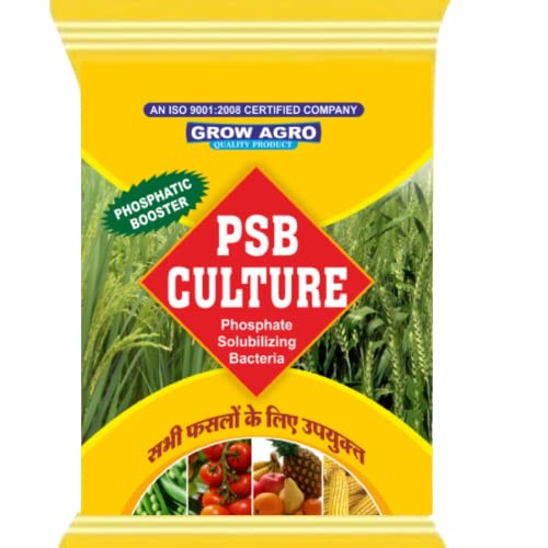 Phosphate Solubilizing Bacteria: PSB BIOFERTILIZER; growth booster and ...