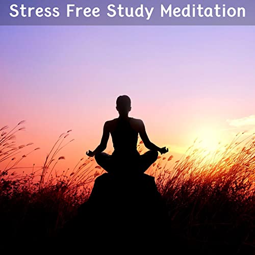 Amazon MusicでVARIOUS ARTISTSのStress Free Study Meditationを再生する