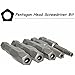 Saipor 10pcs Magnetic Pentagon Head Screwdriver Bits Set 1/4 Inch Hex ...