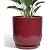 Amazon.com : SUNPOTFOR Ceramic Pots for Plants - 12 Inch Plant Pot ...
