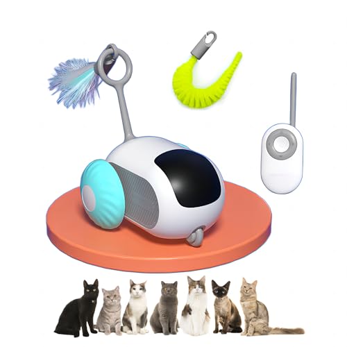Remote Control Cat Toy – The 15 best products compared - Wild Explained