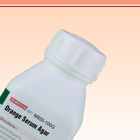 HiMedia M933-100G Orange Serum Agar, 100 g: Amazon.com: Industrial ...