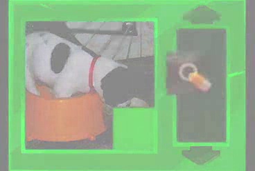 Watch Let＇s Paint - Nintendo Wii on Amazon Live