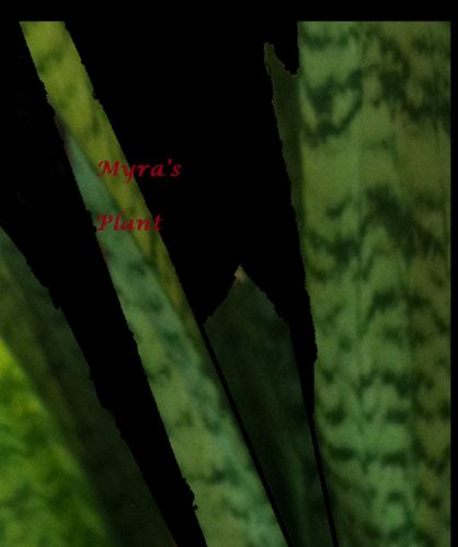 Myra's Plant eBook : Bell, Victoria: Amazon.in: Kindle Store