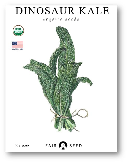 Amazon.com : Organic Dinosaur Kale Seeds 100+ Seeds : Patio, Lawn & Garden