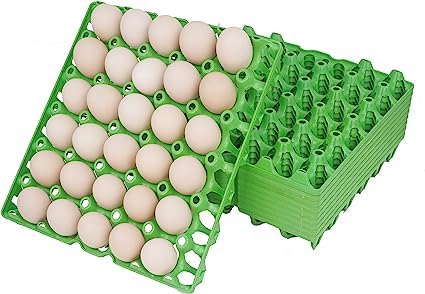 (Green-Pack of 10) Farm Products Chicken Plastic Egg Trays 30 Eggs|30 ...