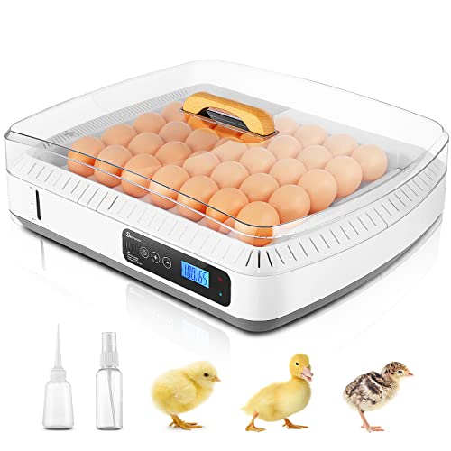 Find The Best Incubator For Duck Eggs Reviews & Comparison - Katynel