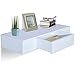 Amazon.com: HOMCOM Wall-Mounted Floating Storage Shelf with Drawer (24 ...