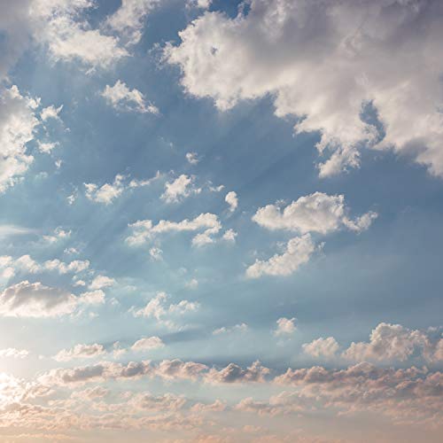 Play The Complete Relaxation Compilation: 100 Soothing Melodies for ...