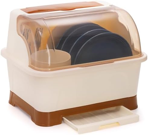 Amazon.com - PaNeTnya 2 Tier Dish Drying Rack,Kitchen Plate Rack with ...