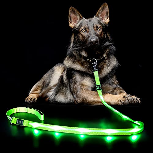 PetIsay Light up Dog Leash for Night Walking - USB C Rechargeable ...