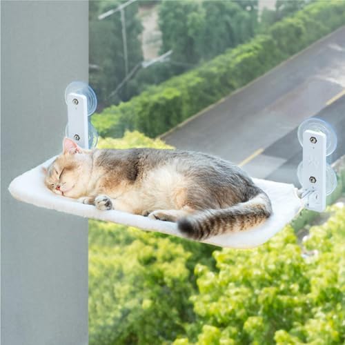 Amazon.com : Cat bed, Cat Window Perch, Cat Hammock, Cat Bed Window ...