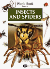 Insects & Spiders (Looks at Series): World Book: 9780716618065: Amazon ...
