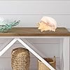 Amazon.com: Nautical Crush Trading Conch Shell Decor - Seashell Decor ...