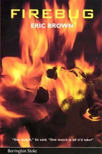 Firebug: Amazon.co.uk: Brown, Eric: 9781842991039: Books