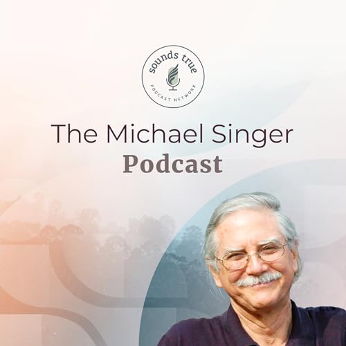 Amazon.com: Michael Singer Podcast : Michael Singer: Audible Books ...