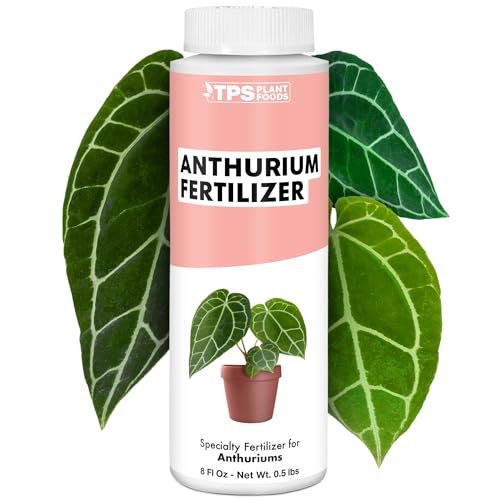 Best Fertilizers for Anthurium Plants to Boost Growth and Bloom 2025 ...