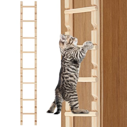Cat Ladder – The 15 best products compared - Wild Explained