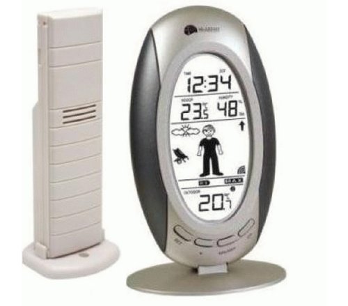 Weather Boy Oval Weather Station IT+ WS9623IT : Amazon.co.uk: Business ...