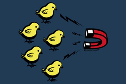 Buy Licenses Products Sassy Slang Chick Magnet Online at Low Prices in ...