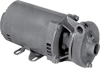 MP Pumps 27697 Series 30 End Suction Centrifugal Pump, Cast Iron ...