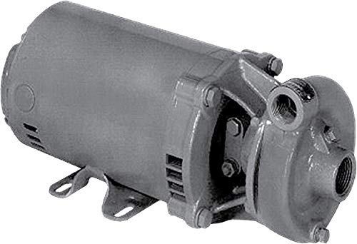 MP Pumps 27697 Series 30 End Suction Centrifugal Pump, Cast Iron ...