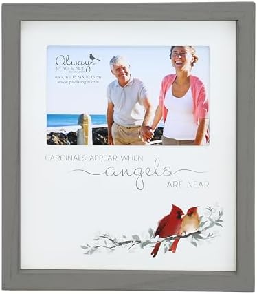 Amazon.com - Pavilion - Cardinals Appear When Angels Are Near - 6" x 4 ...