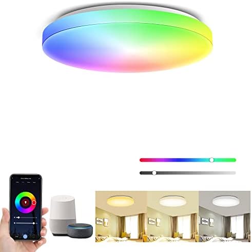 Smart Ceiling Light, 15 Inch 24W Flush Mount Lights, Full RGB Color ...