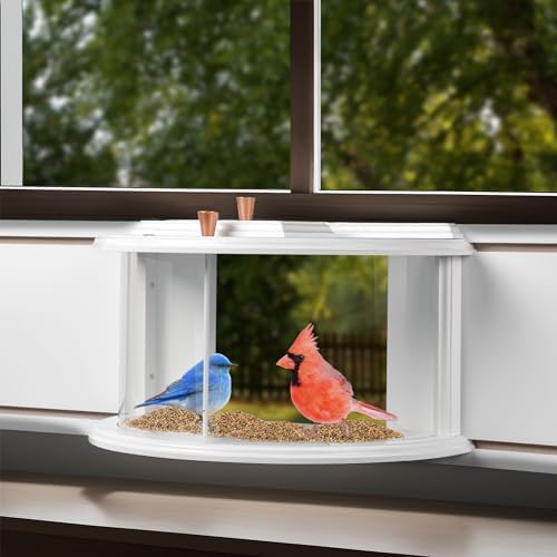 Amazon.com : VIROTEE Window Bird Feeder Inside House for Viewing, Clear ...