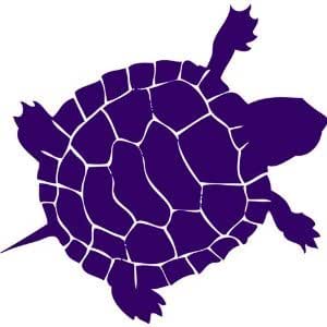 Amazon.com: Snapping Turtle Decal (Purple, 5 inch x 5 inch) : Tools ...