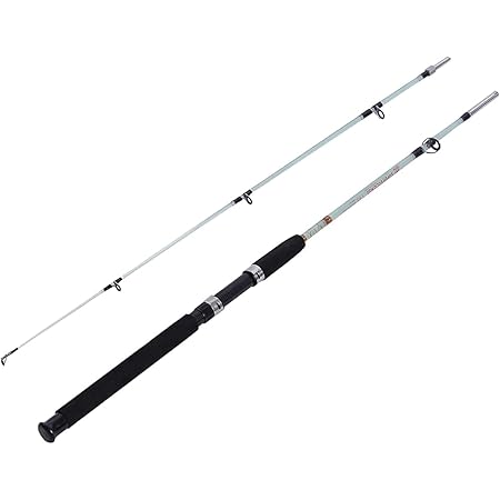 Auf Fishing Spinning (6Feet /180cm) Multicolor Fishing Rod : Amazon.in ...