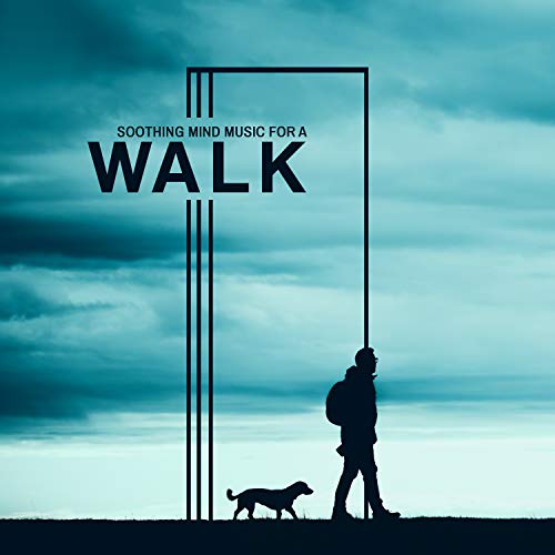 Play Soothing Mind Music for a Walk. Relaxing Sounds to Feel Better by ...