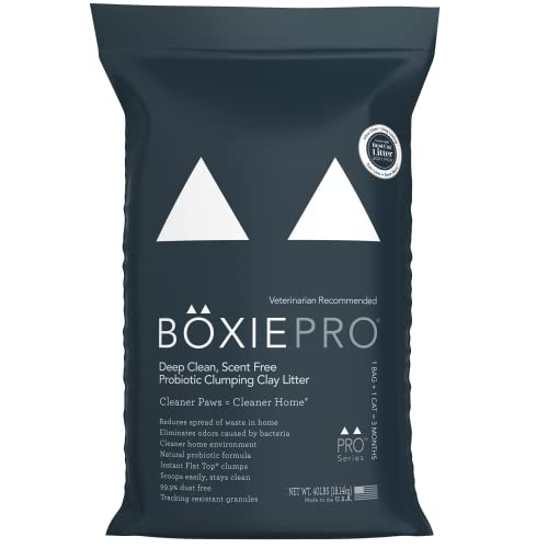 Boxie® Probiotic 40 Day Natural Odor Control Cat Litter, 40lb Clumping ...