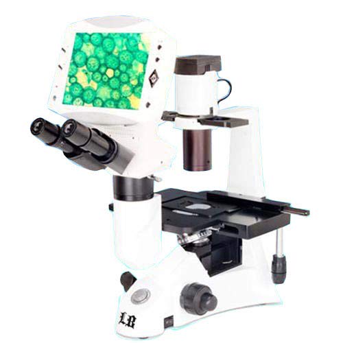 Labomed LB-1290 Digital Inverted Binocular Compound Microscope with 5 ...