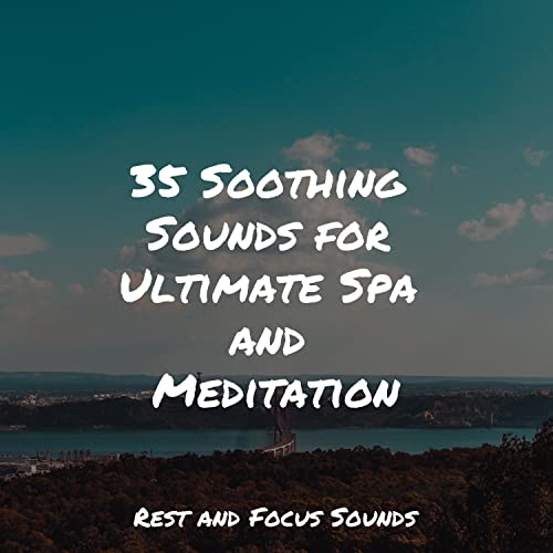 Play 35 Soothing Sounds for Ultimate Spa and Meditation by Best Kids ...