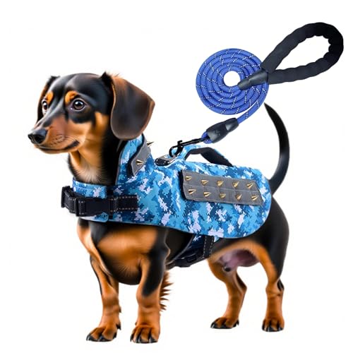 Dog Spike Vest – The 15 best products compared - Wild Explained